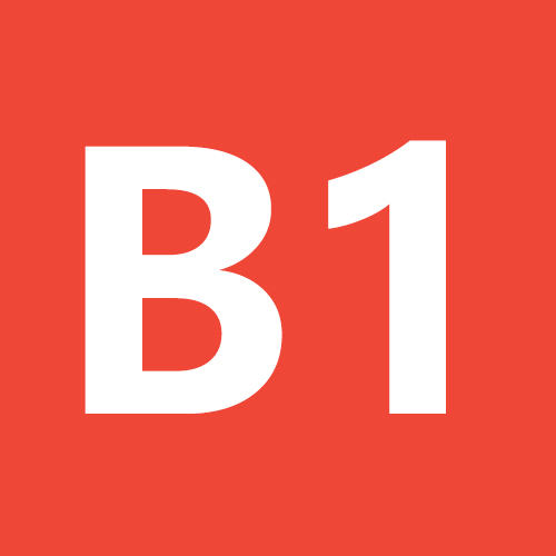 B1 在线模拟考 （笔试） - LanguageCert朗思考试（中国）官方网站